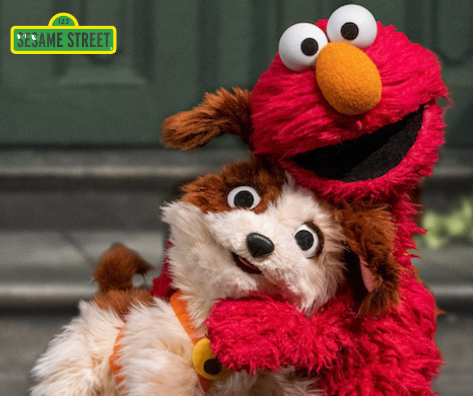 (FINISHED) Win 2 x Sesame Street pack to celebrate Season 52! | Kiddipedia