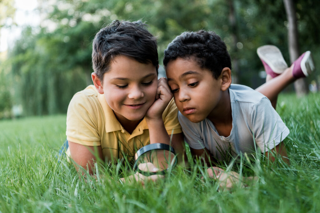 Why Environmental Education is Important for Kids | Kiddipedia